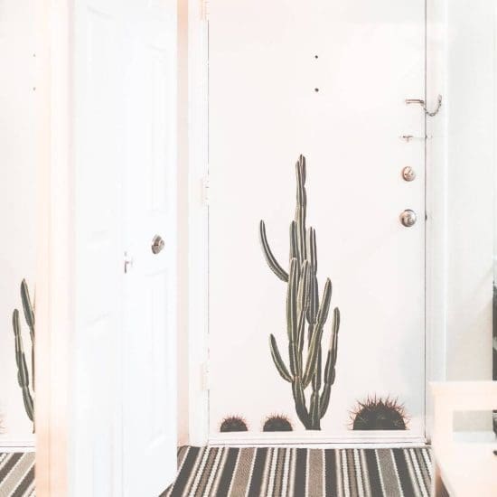 What is a Decal? A Beginner's Guide to Decal vs Sticker