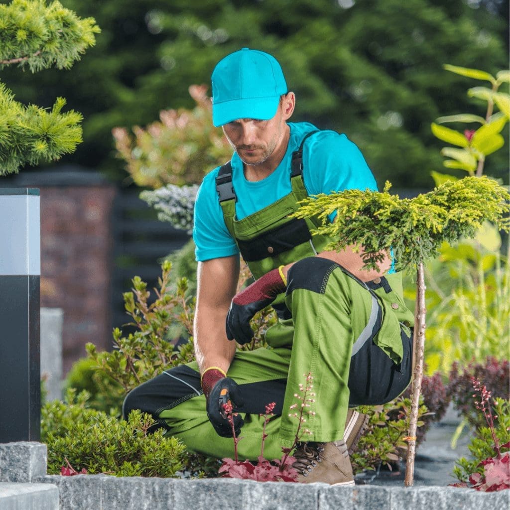 How to Use Landscape Yard Signs to Boost Your Business